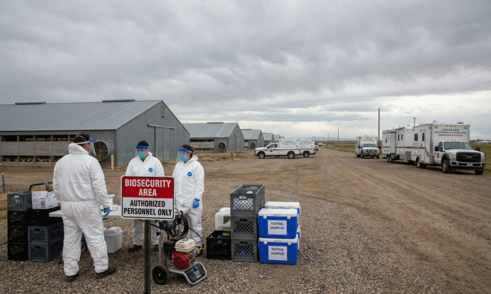 Senate Faces Conflict Over DHS Bill Funding - Crystal Clear News